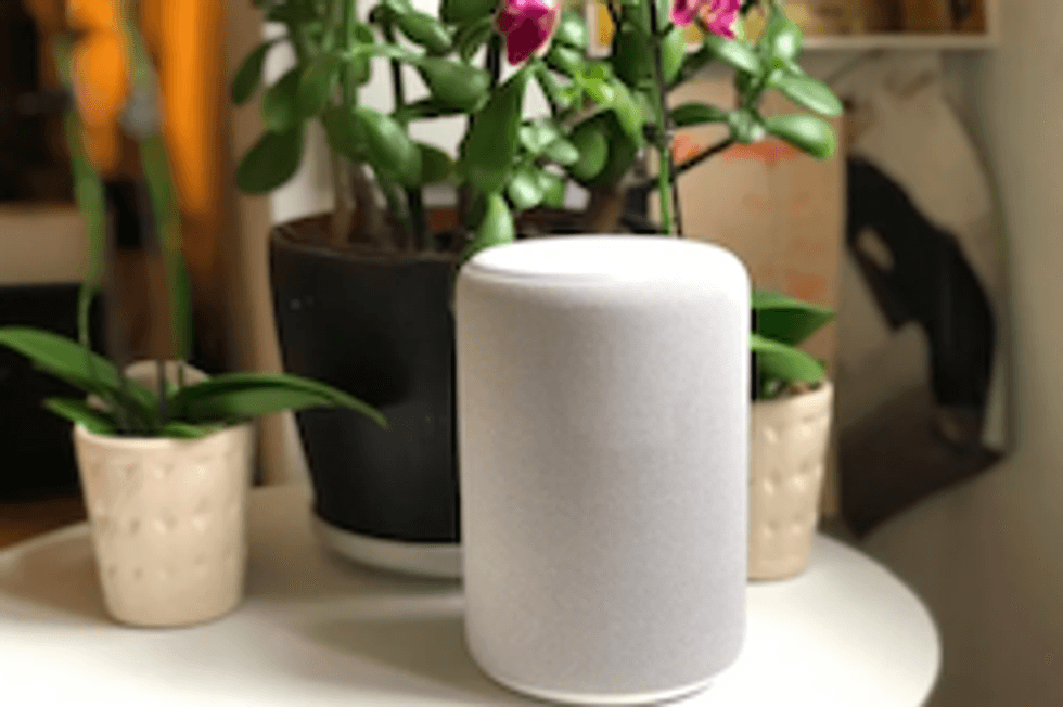Amazon Echo 2025: Discontinued, Supported & Future-Proof - Gearbrain